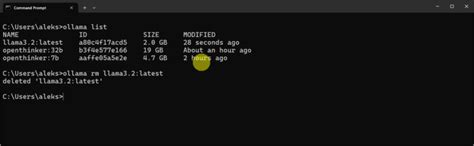 Tutorial On How To Delete Local Ollama Large Language Models On Windows