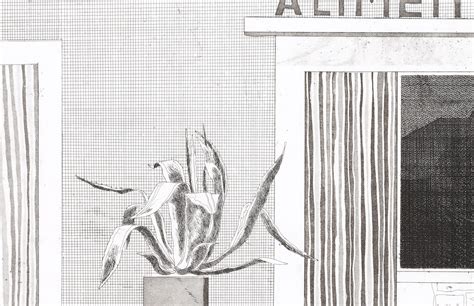 David Hockney Line Drawings