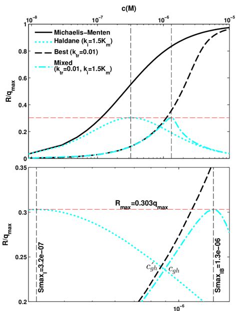 Michaelis Menten Kinetics Graph At Gregory Lawerence Blog