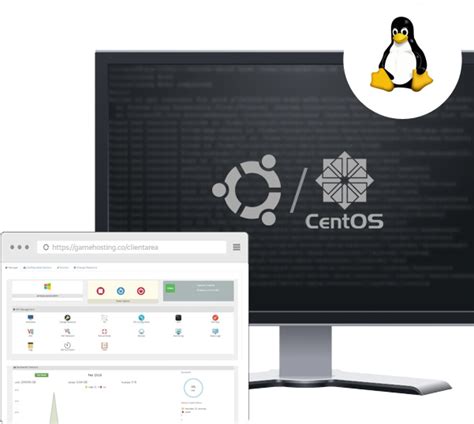 Linux VPS GameHosting Co