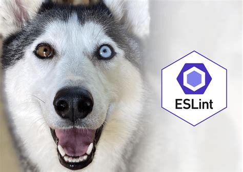 Getting Started With Eslint And Husky In Your Node Js Project Collabnix