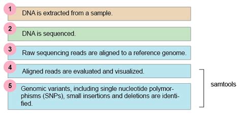What Are Bioinformatics Tools
