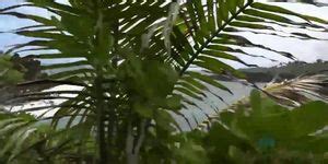 Elsa Jean Hawaii Tnaflix Com