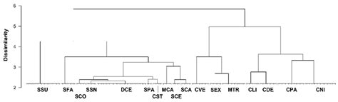 Schematic Classification Dendrogram Obtained By Cluster Analysis Of 206