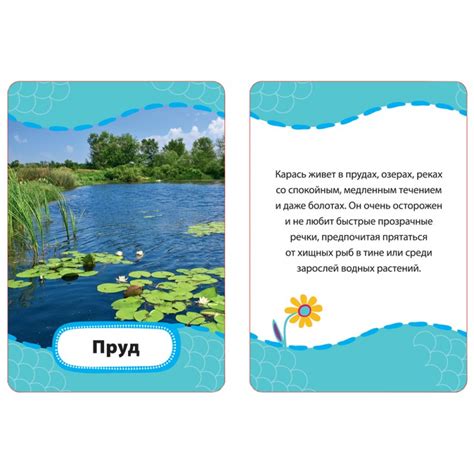 Умные карточки. Кто где живет, кто что ест? | Доставка по Европе ...