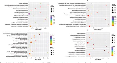 Figure 6 From Transcriptome Wide Modulation By Sargassum Vulgare And
