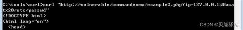 Webforpentesteri之命令注入命令注入 Example3php Csdn博客