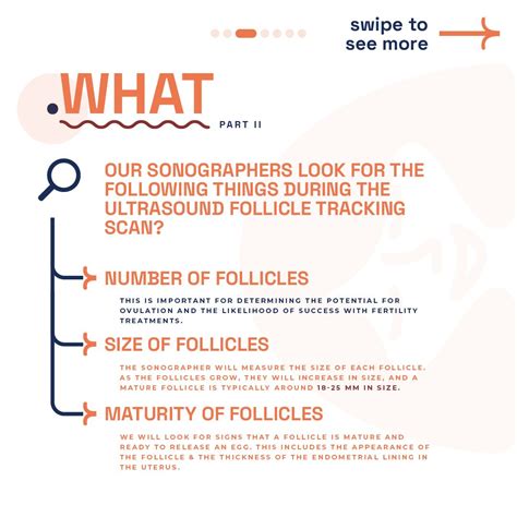 Follicle Tracking Scan Explained London Pregnancy Clinic