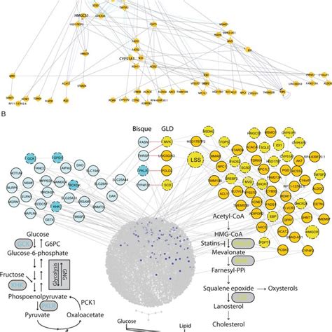 Probabilistic Causal Networks A Probabilistic Causal Network In The