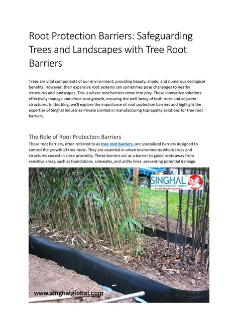 PPT Root Protection Barriers Safeguarding Trees And Landscapes With Tree Root Barriers