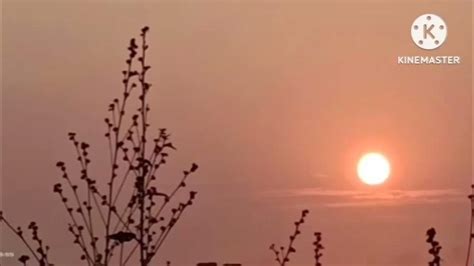 နံနက်ခင်းဆုတောင်းခြင်း ၄ ၂ ၂၀၂၅ Youtube