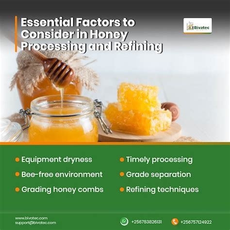 How To Process And Refine Honey For The Best Quality