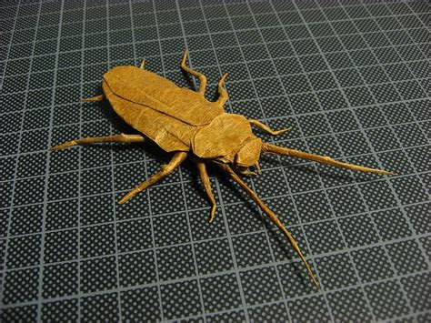 Cockroach Ii Paper Animals Animal Sculptures Origami Art