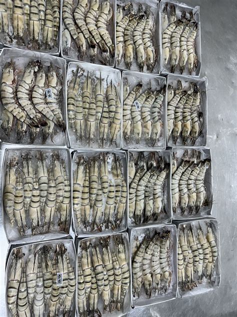 Tanbir Hasan Posted On Linkedin Tanbir Hasan Posted On Linkedin