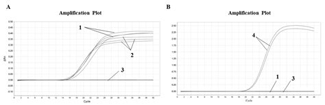 Molecules Free Full Text Detection Of Soybean Derived Components In Dairy Products Using
