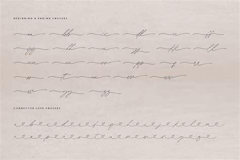 Heritage Signature An Elegant Signature Font Design Cuts