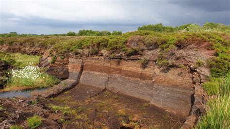 Looking To The Future Of Irish Bogs With Dr Florence Renou Wilson