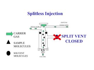 GC Lecture Complete Copy Pdf
