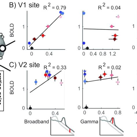 Measured Correlation Between Ecog And Bold In V1 And V2 V3 A The