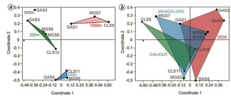 Principal Coordinates Analysis Representation Of The