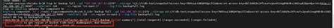 backup to minio installed on docker error occurred translated tidb