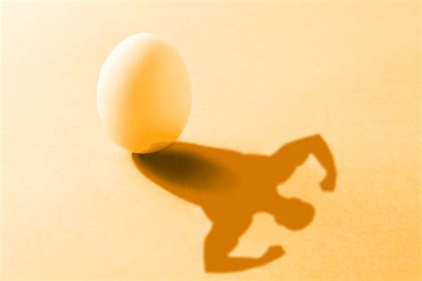 Selenium Enriched Eggs Adisseo — Mea