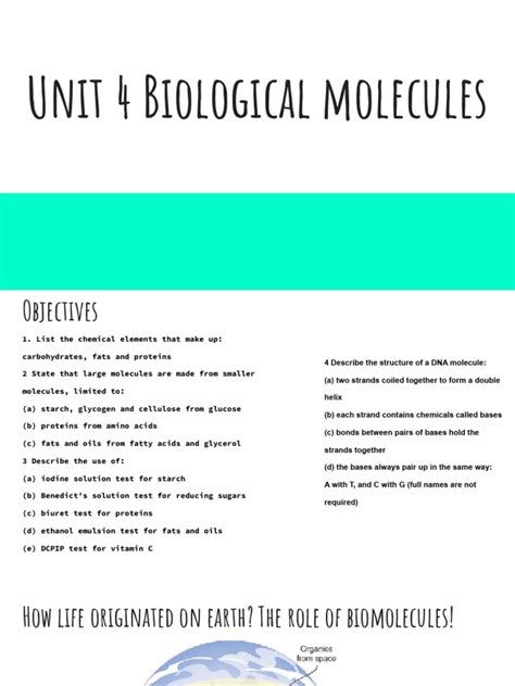 Igse Unit 4 Biological Molecules Pdf Carbohydrates Biomolecules