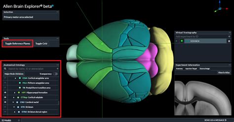 Allen Brain Explorer Beta User Guide Allen Brain Explorer Allen