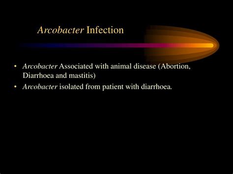 Ppt Rapid Detection And Identification Of Campylobacter And