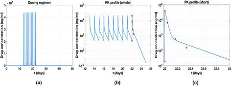 A Dose Regimen Per Day From Day 13 22 B Simulated Pk Profiles Are