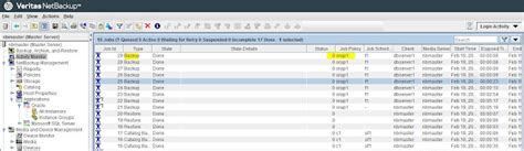 remote infrastructure management oracle rman backup using netbackup 8 1 2