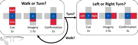 A Cascaded Binary Classification Protocol This Is The Visual Feedback