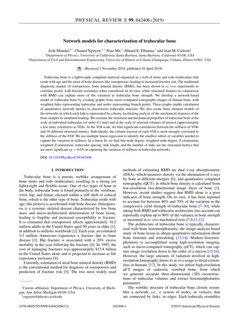 Pdf Network Models For Characterization Of Trabecular Bone