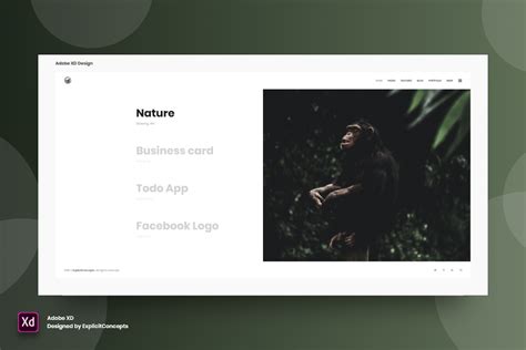 Interactive Showcase Adobe XD Graphic By ExplicitConcepts Creative Fabrica