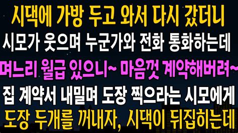 반전사연 시댁에 가방두고 와서 다시 갔더니 시모가 웃으며 누군가와 전화통화를 하는데 검은속내를 듣자마자 연끊고 되갚아줬습니다 신청사연 사연라디오 사이다썰