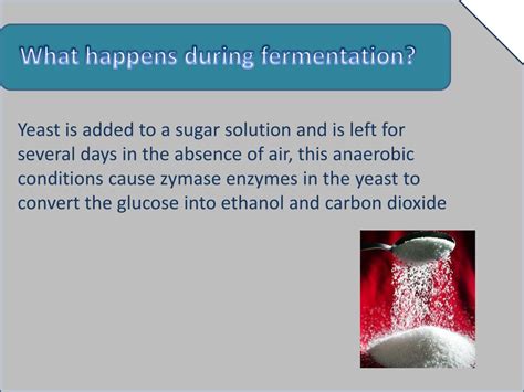 PPT Fermentation PowerPoint Presentation Free Download ID