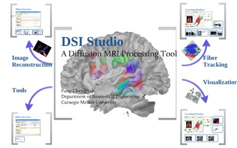 Dsi Studio A Diffusion Mri Processing Tool By Fang Cheng Yeh On Prezi