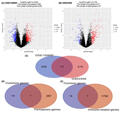 Jcdd Free Full Text Exploring The Role Of Obesity In Dilated