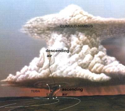Cumulonimbus Tornado Preparing For Severe Weather And Tornado Season