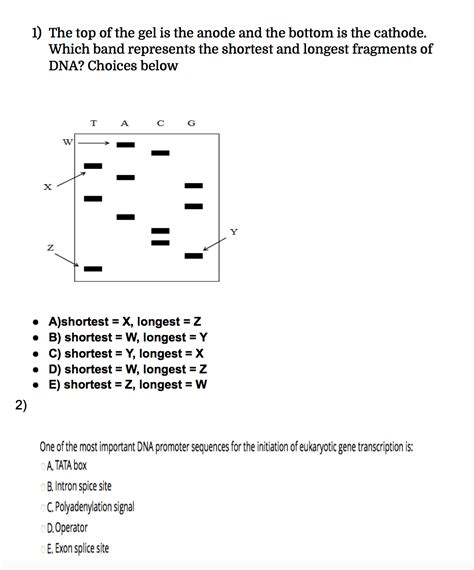 Solved A Polyadenylation Signal Can Be Described By All Of