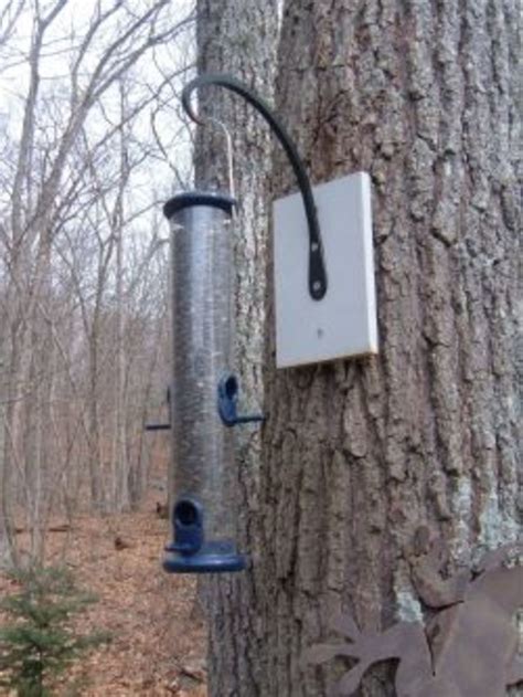 How To Hang Bird Feeders HubPages