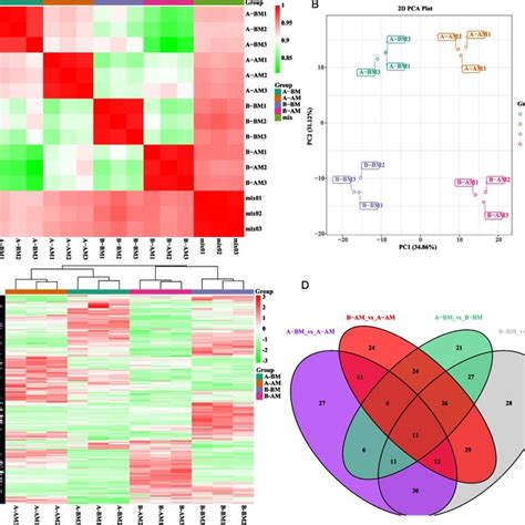 Quality Control And Analysis Of Metabolome Data Of Chinese Cabbage Cms Download Scientific
