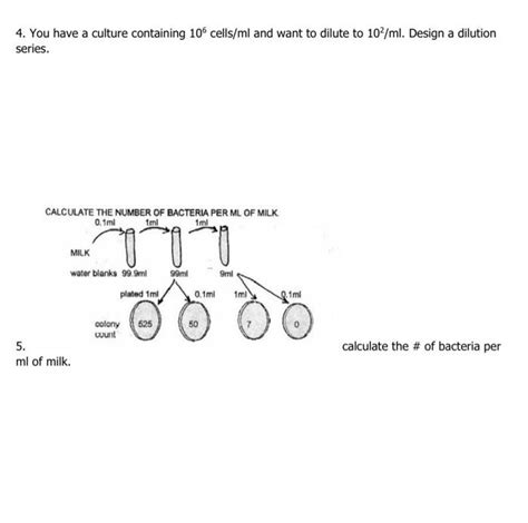 Working On Microbial Dilution Calculations 1 You Have
