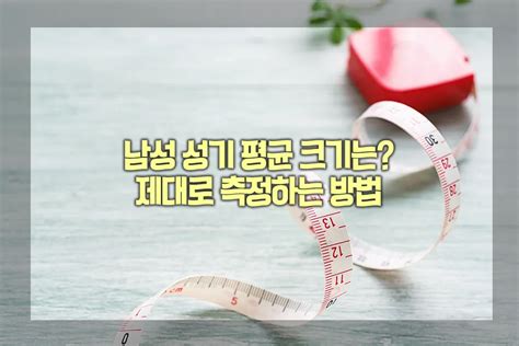 남성 성기 평균 크기는 제대로 측정하는 방법 Famz Life Korea