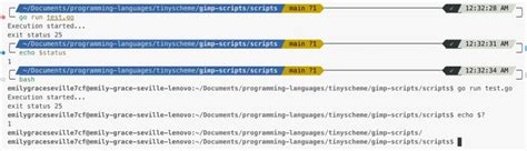 christoph berger on linkedin os exit doesn t exit the program with the