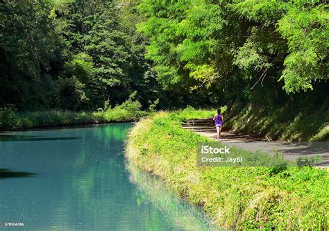 운하 강 근처에서 조깅하는 활동적인 여성 러너 야외 달리기 강에 대한 스톡 사진 및 기타 이미지 강 건강한 생활방식 공원 Istock