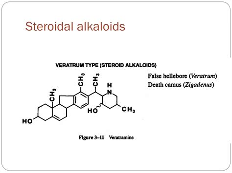 Pert10 Materi Alkaloid 2022pdf