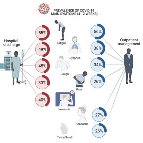 Comparison Of Single Label Classification And Multi Label Download