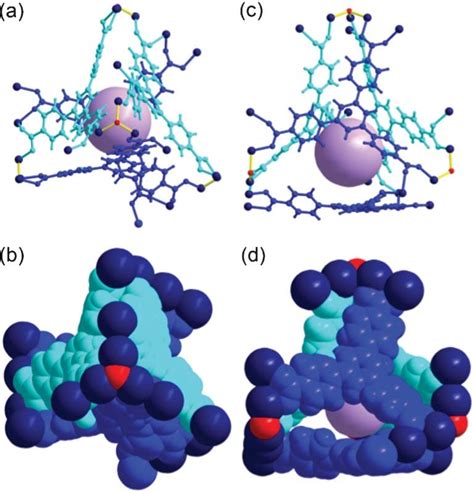 Ball And Stick And Space Filling Models Of Cage B With A Pseudoc 3 Download Scientific Diagram