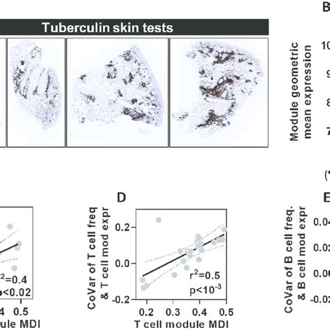 Mdi Scores Predict Covariance Between Module Gene Expression And Cell